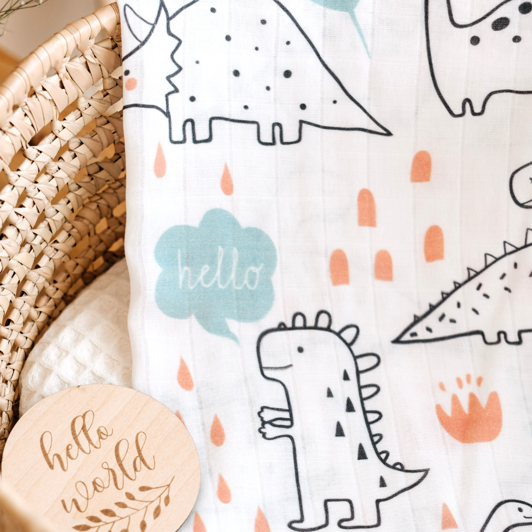 Dinosaur Muslin Square - Muslin Baby Burp Cloth – Eco Bambini